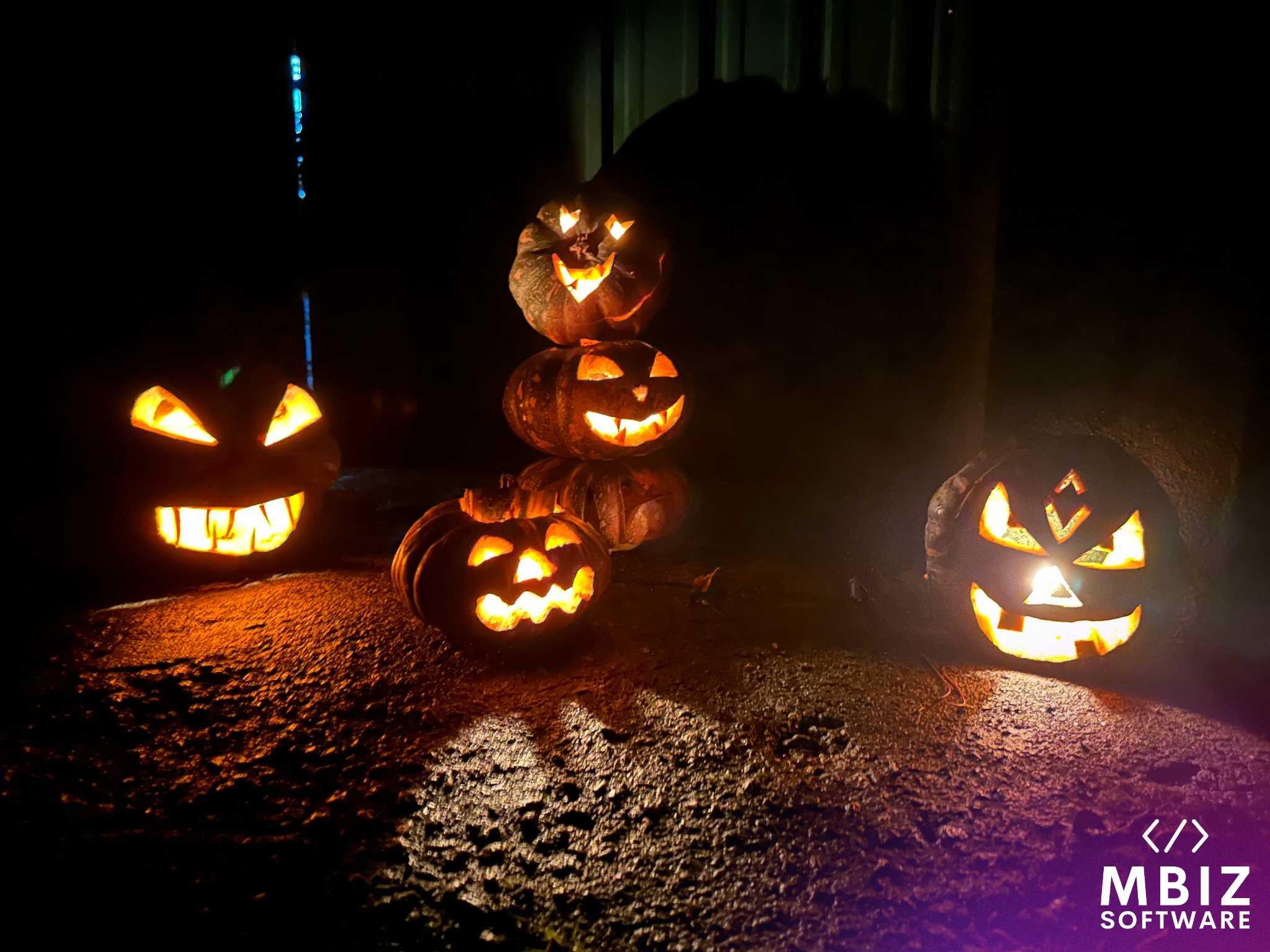 MBiz Software - Innovative Software Solution Company